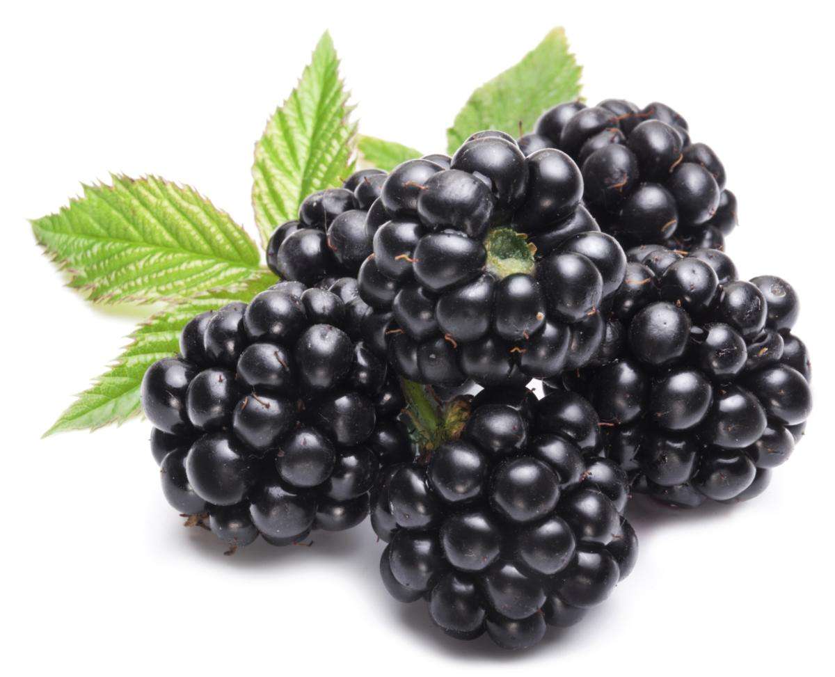 Βατόμουρα -Blackberries 6 εκπληκτικά οφέλη για την υγεία μας